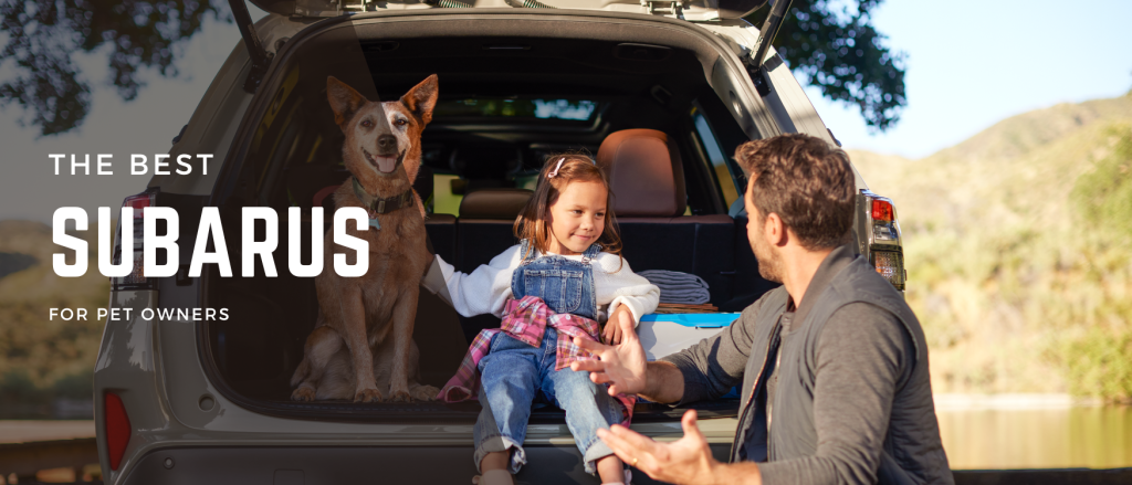 The Best Subarus for Pet Owners: A Pet Ramp Perspective – Subaru City ...